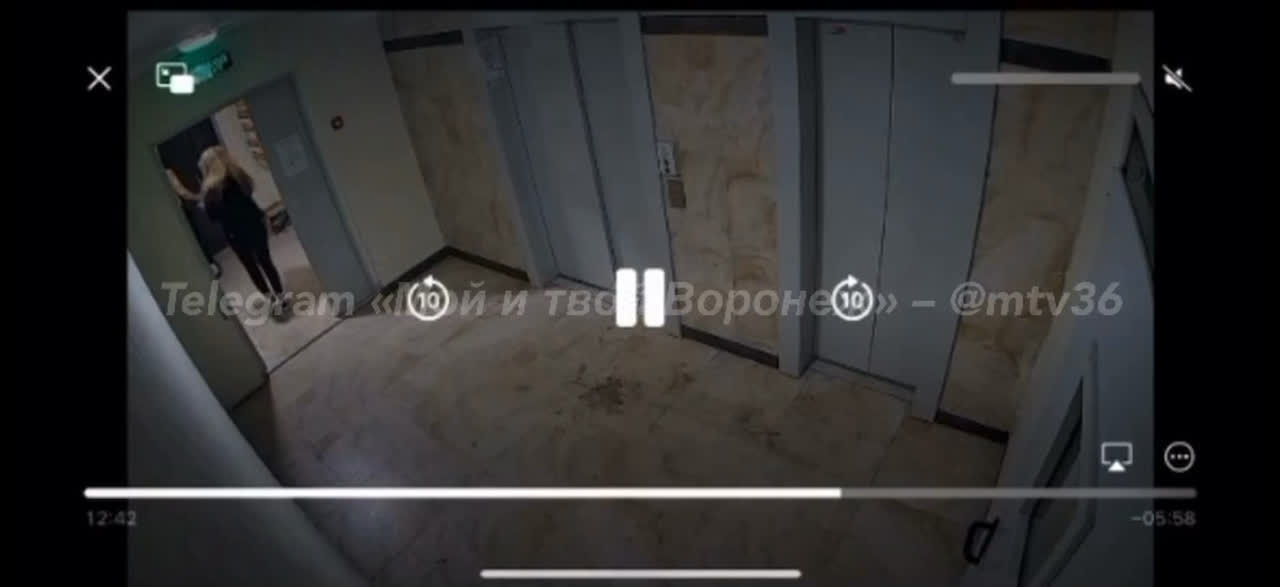 Полиция не стала возбуждать дело после избиения Мой и твой Воронеж
